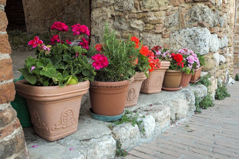 Flowers in Flower Pots in Front of a Wall in Italy Stock Image - Image ...