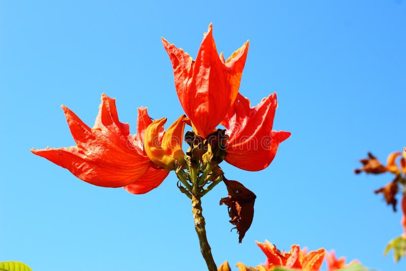 Sad Inanimate Objects Stock Photos - Free & Royalty-Free Stock Photos ...