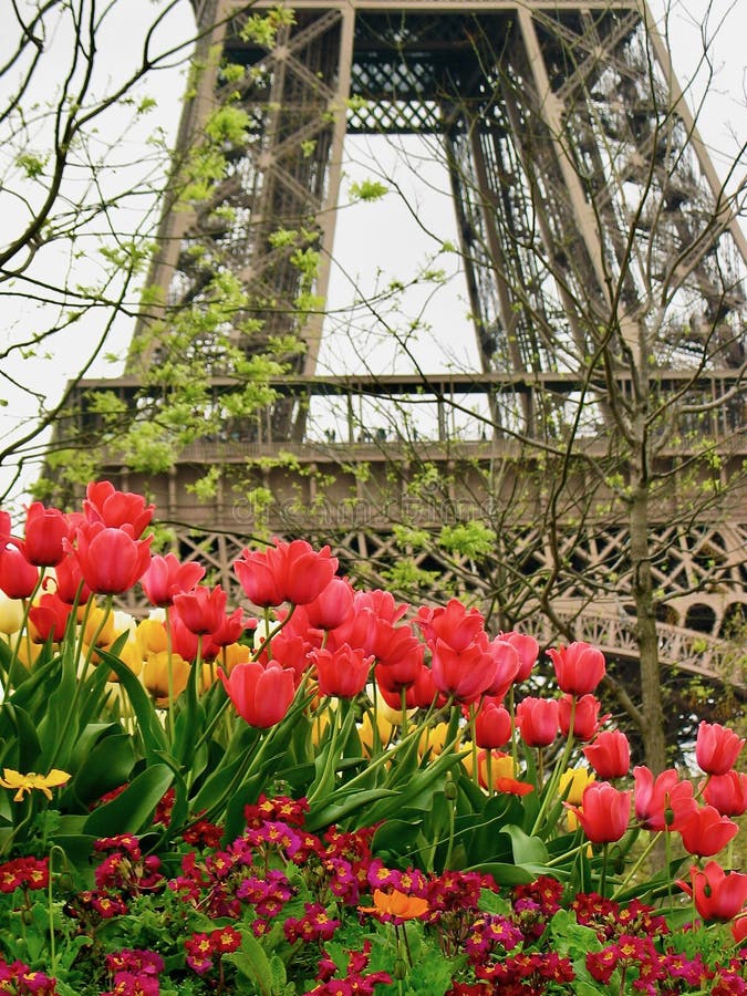 Flowers in Front of the Eiffel Tower Stock Photo - Image of ...