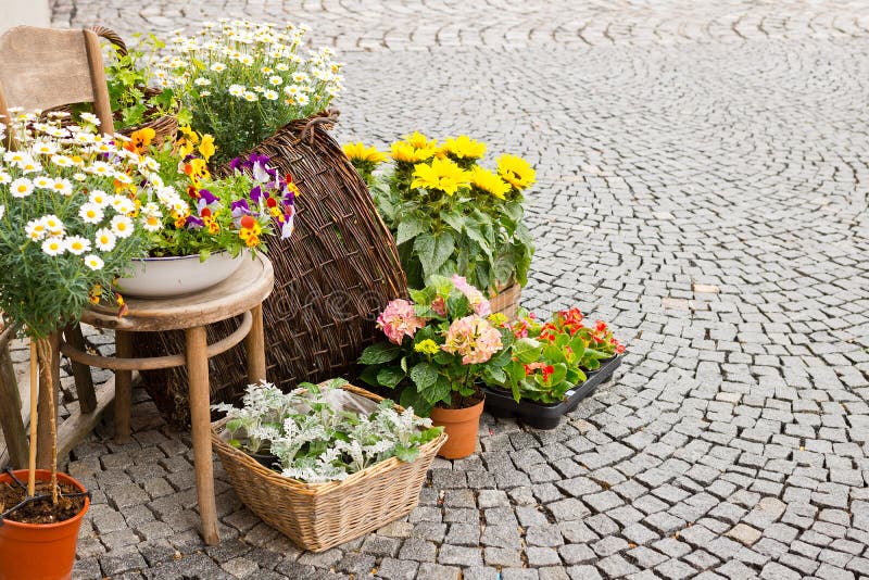 Flowers in Front of Florist S Shop Stock Photo - Image of front, wicker ...