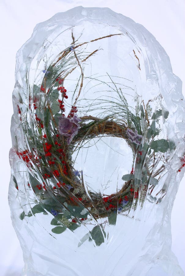 Flowers frozen in ice stock image. Image of nature, liquid - 373920587