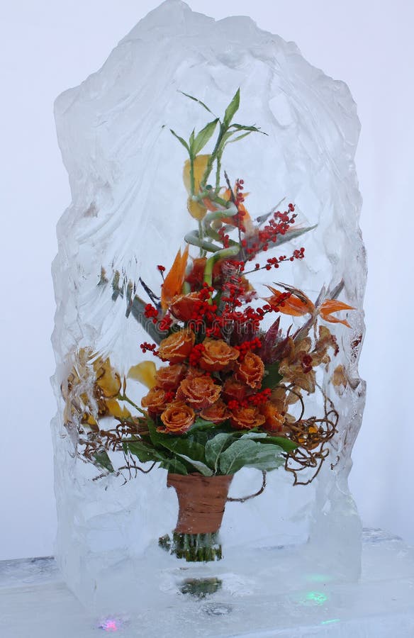 Flowers frozen in ice stock image. Image of cold, fall - 373920625