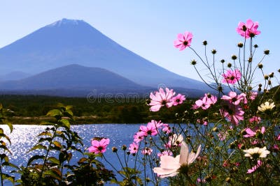 1,432 Fuji Rock 2026 Stock Photos - Free & Royalty-Free Stock Photos ...