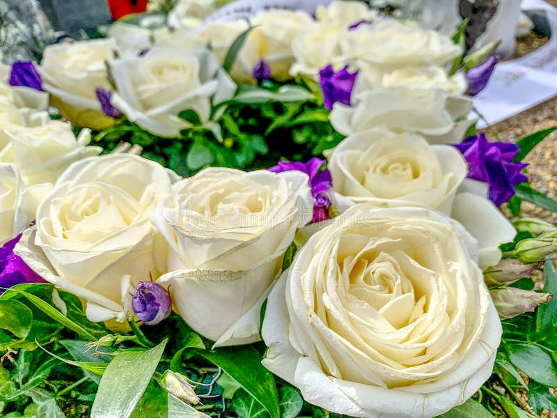 Funeral Arragements Stock Photos - Free & Royalty-Free Stock Photos ...