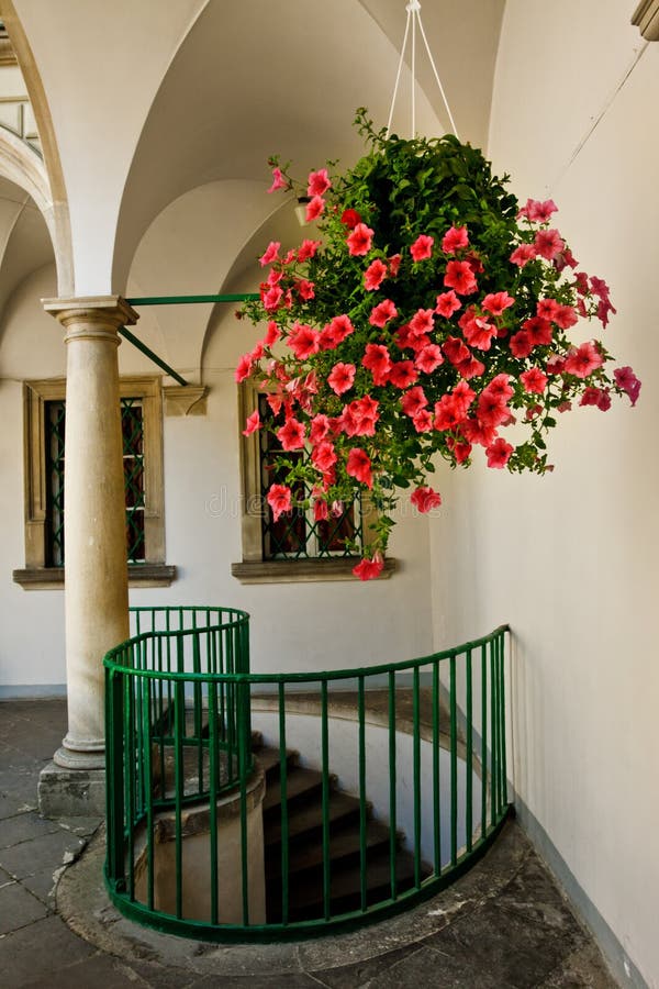 Corridor with Hanging Flowers Stock Photo - Image of front, outdoor ...
