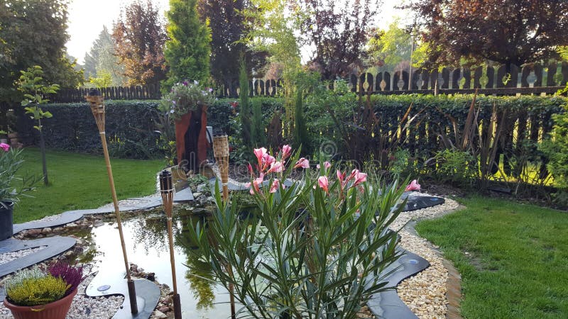 Flowers in garden stock photo. Image of flowers, pond - 111421864