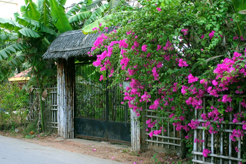 Flowers gate stock photo. Image of wooden, beauty, bamboo - 2232860