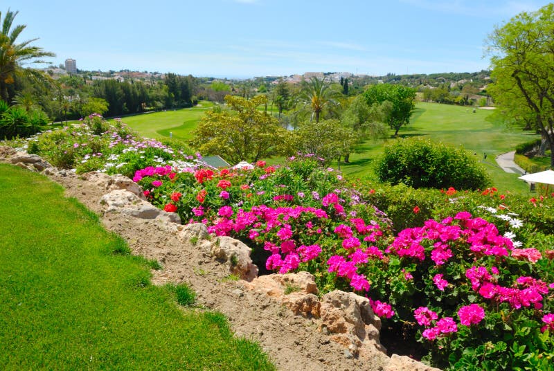 Flowers in golf course stock photo. Image of driver, malaga - 24760600