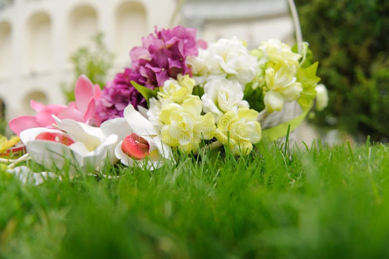 Flowers on Grass stock photo. Image of orchid, green - 38001792