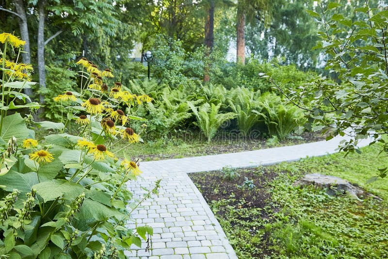 Flowers, Grass, Greenery and a Path in a Beautiful Garden Stock Photo ...