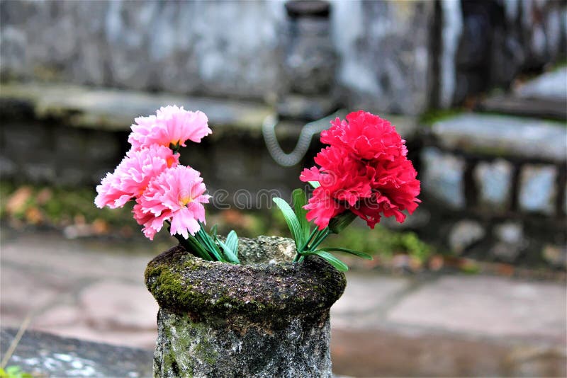 Flowers in a Graveyard stock image. Image of cemetery - 116587039