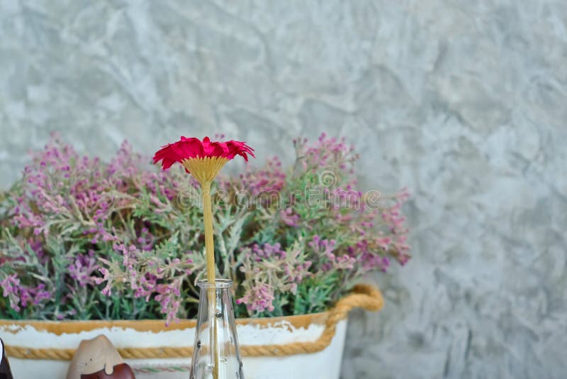 143 Custom Wallpaper Life Stock Photos - Free & Royalty-Free Stock ...