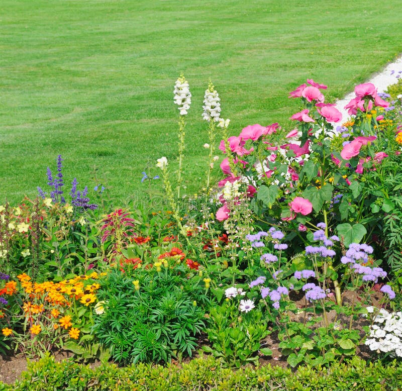 Flowers and green grass stock image. Image of formal - 47163055