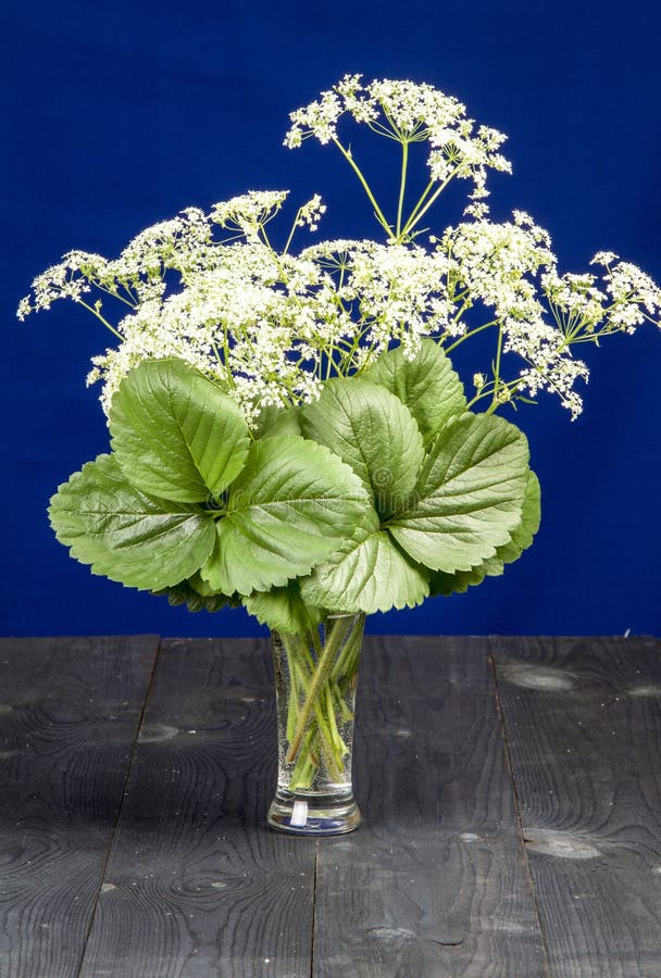 Flowers with Green Leaves in a Vase Stock Photo - Image of symbol ...