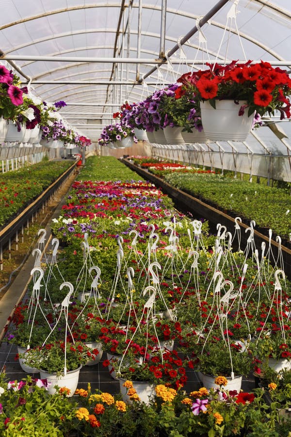 Garden centre stock photo. Image of panorama, garden - 54275832