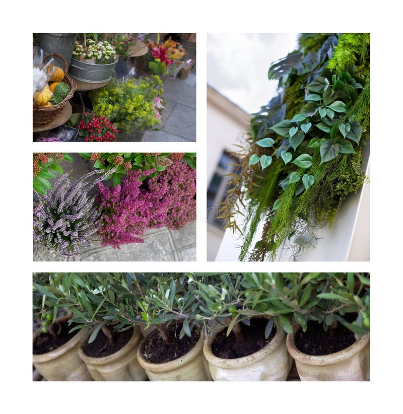 Flowers Grow on the Sidewalk Stock Image - Image of decorative, bunches ...