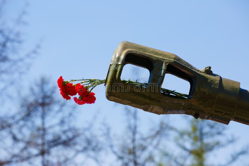 111 Flower Barrel Gun Photos - Free & Royalty-Free Stock Photos from ...