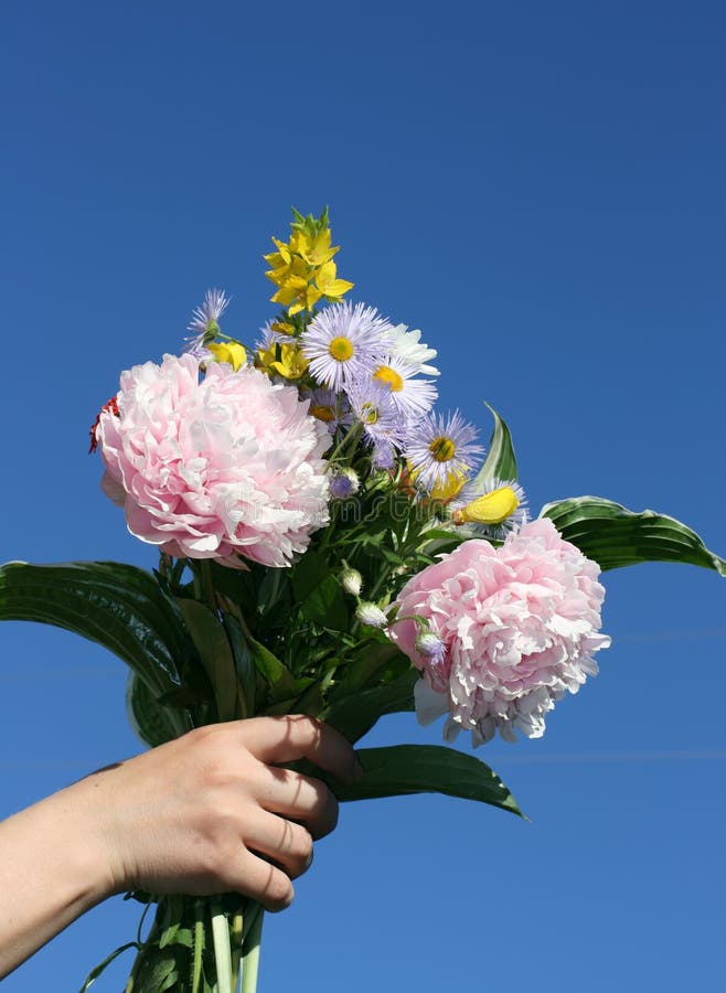 Flowers in a hand stock photo. Image of present, pretty - 2673644