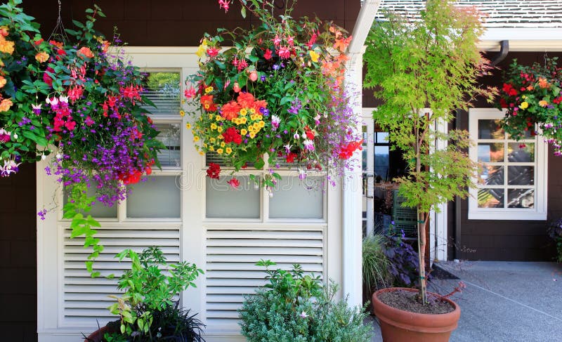 Flowers in the Hanging Baskets with Windows. Stock Image - Image of ...