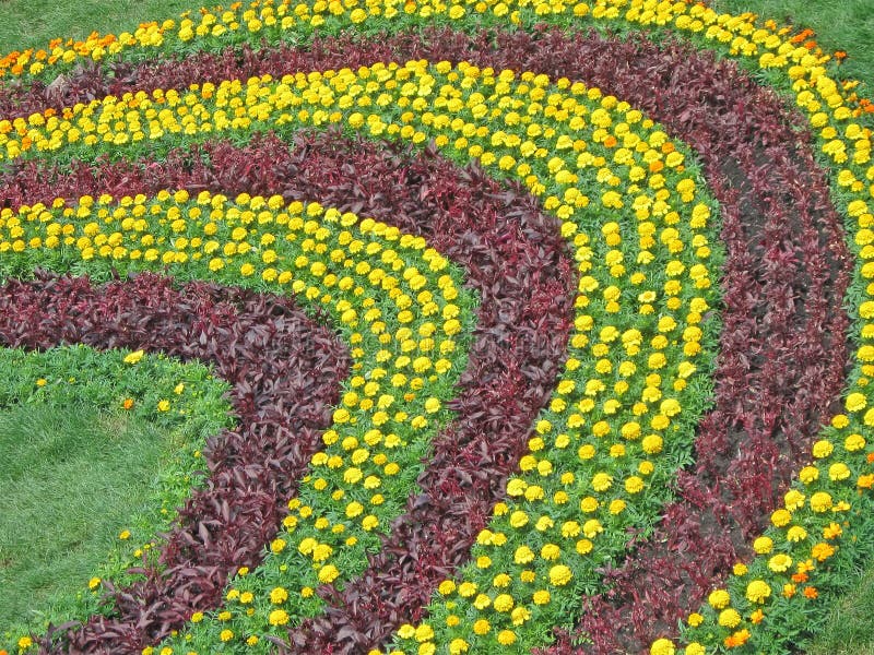 Flowers Heap Diversity, Nature Curves Concept, Stock Photo - Image of ...