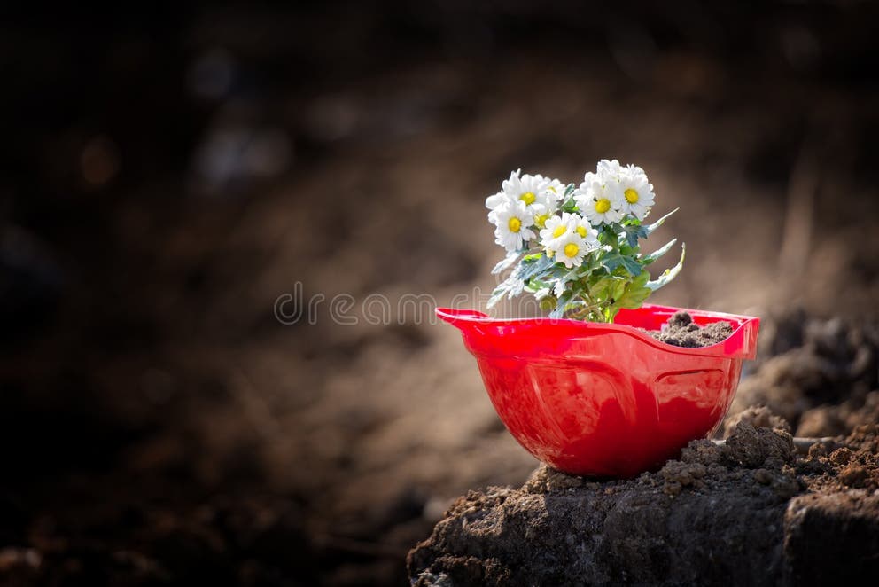 Flowers helmet stock photo. Image of decoration, bloom - 89405876