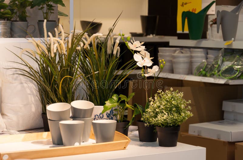 Flowers and Home Decore in Store Stock Image - Image of pots, lifestyle ...