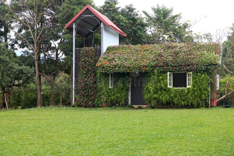 Flowers house stock photo. Image of green, asia, meadow - 28545158