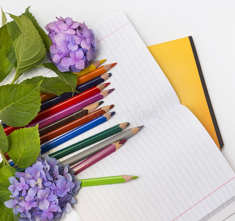 Flowers Hydrangeas and School Subjects. Stock Photo - Image of gift ...