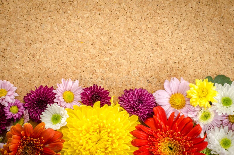 Flowers stock image. Image of bloom, floral, beautiful - 49073309