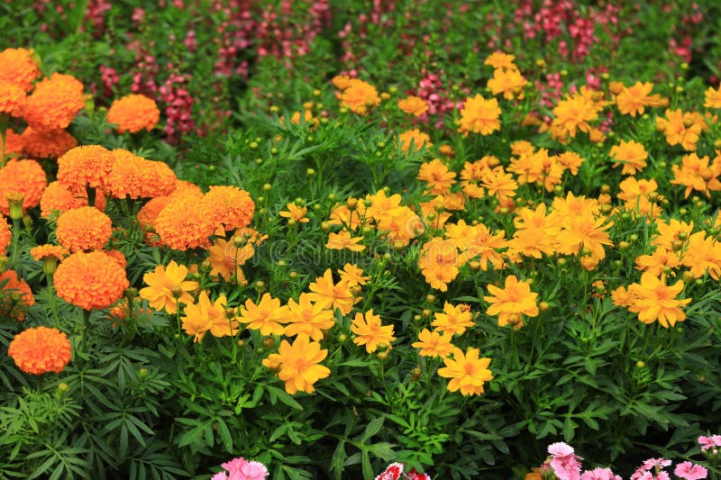 581 Beautiful Pictures Funerals Stock Photos - Free & Royalty-Free ...