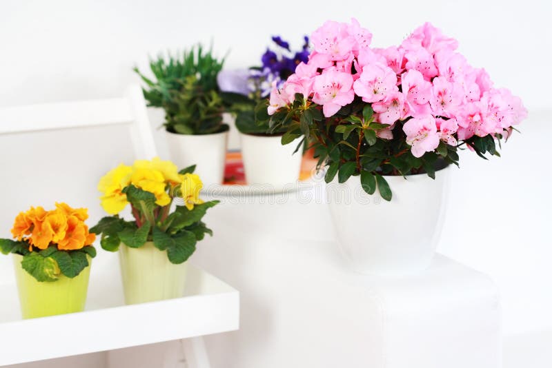 Flowers in interior stock image. Image of detail, residential - 15359103