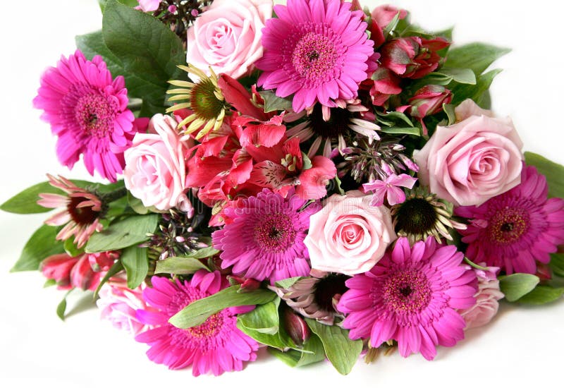 Flowers isolated stock photo. Image of romance, bunch - 10398646