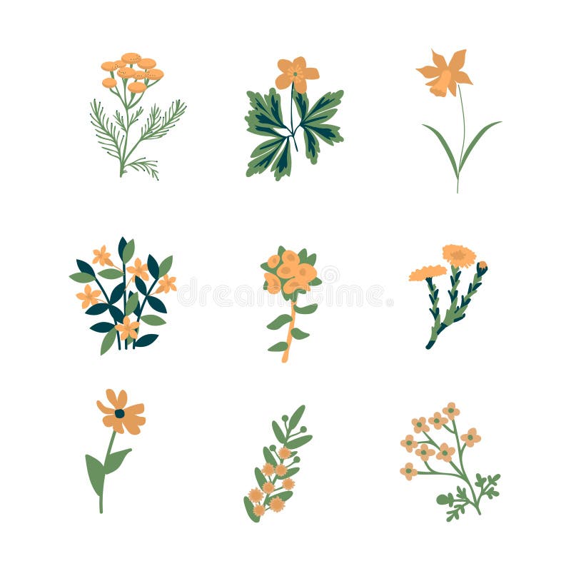 Isolated flowers set stock vector. Illustration of leaf - 238838854