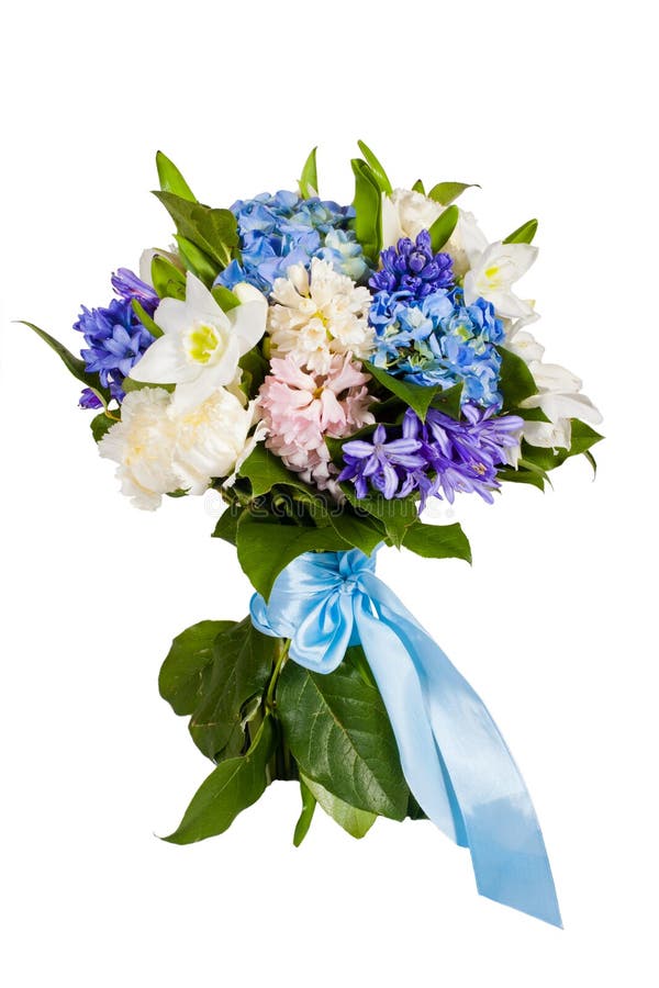 Flowers Isolated on White Background Stock Photo - Image of closeup ...