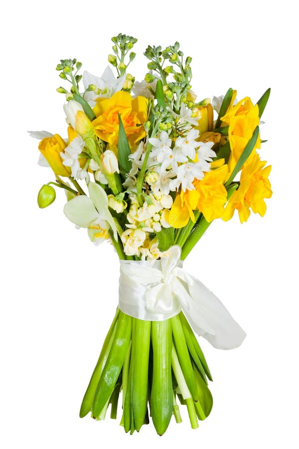 Flowers Isolated on White Background Stock Photo - Image of objects ...