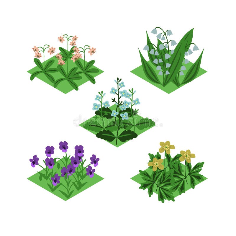 Flowers isometric set stock vector. Illustration of botanical - 230541239