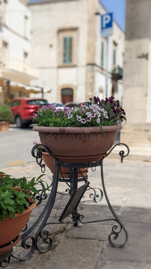 Flowers Italy Terra Cotta Pot Stock Photo - Image of cott, cotta: 289252148