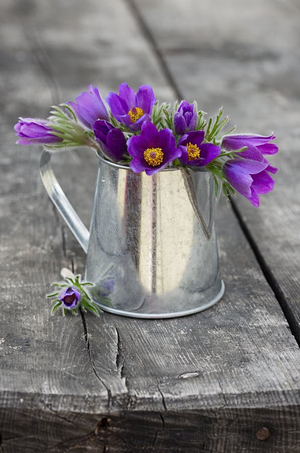 Flowers in a jug stock image. Image of bloom, table, beauty - 53712693