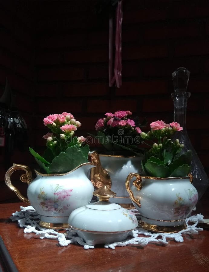 Flowers in the kettle stock image. Image of ower, produce - 209814701