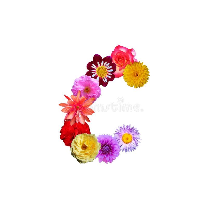 Flowers Letter C stock illustration. Illustration of leaf - 85440712