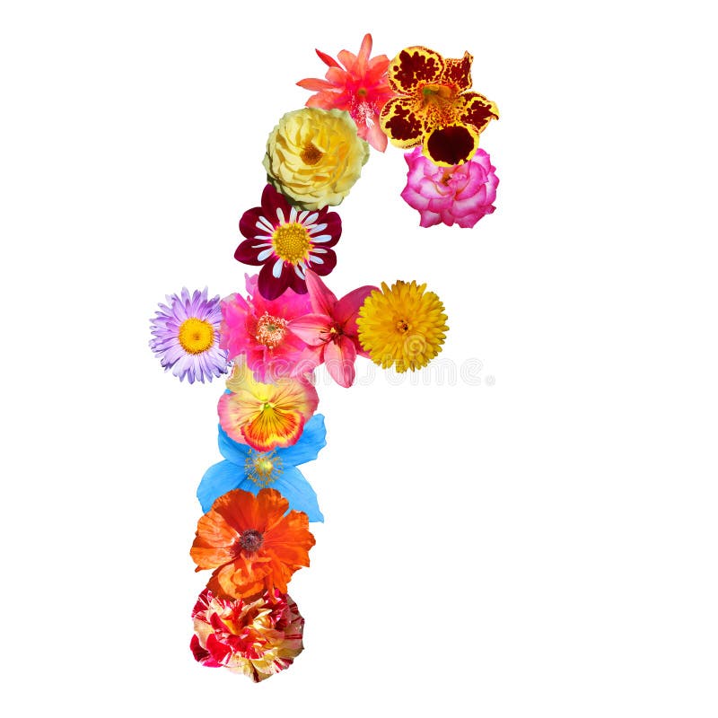Flowers Letter F stock illustration. Illustration of flower - 85440803
