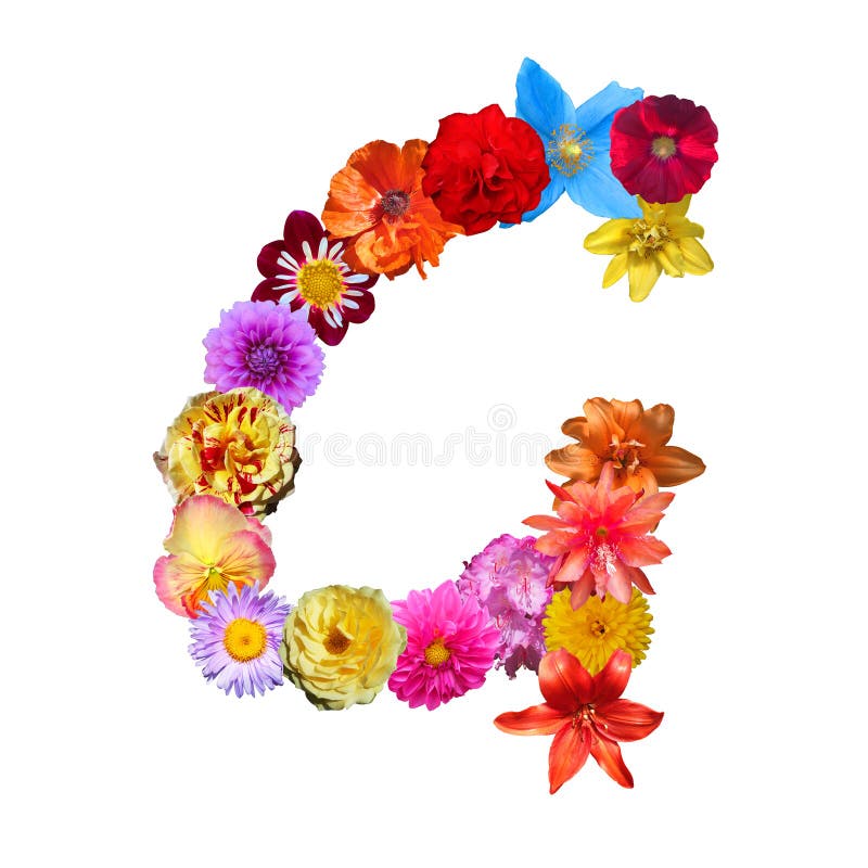 Flowers Letter G stock illustration. Illustration of baby - 85440892