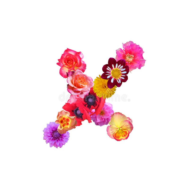Flowers Letter X stock illustration. Illustration of natural - 85440855