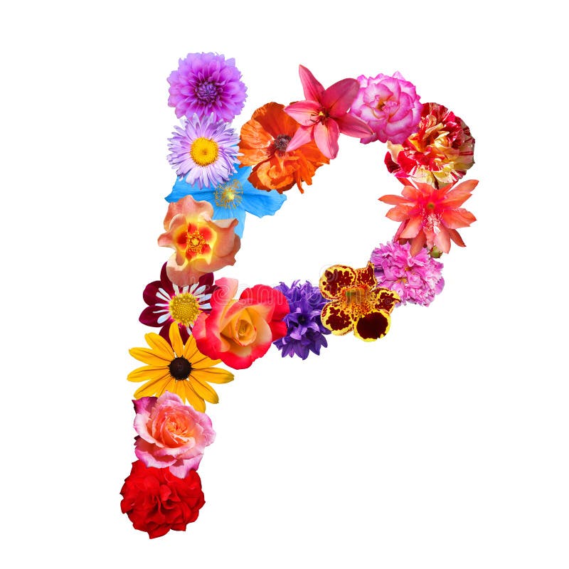 Flowers Letter P stock illustration. Illustration of decoration - 85440842