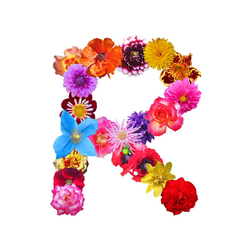 Flowers Letter R stock illustration. Illustration of letter - 85440755
