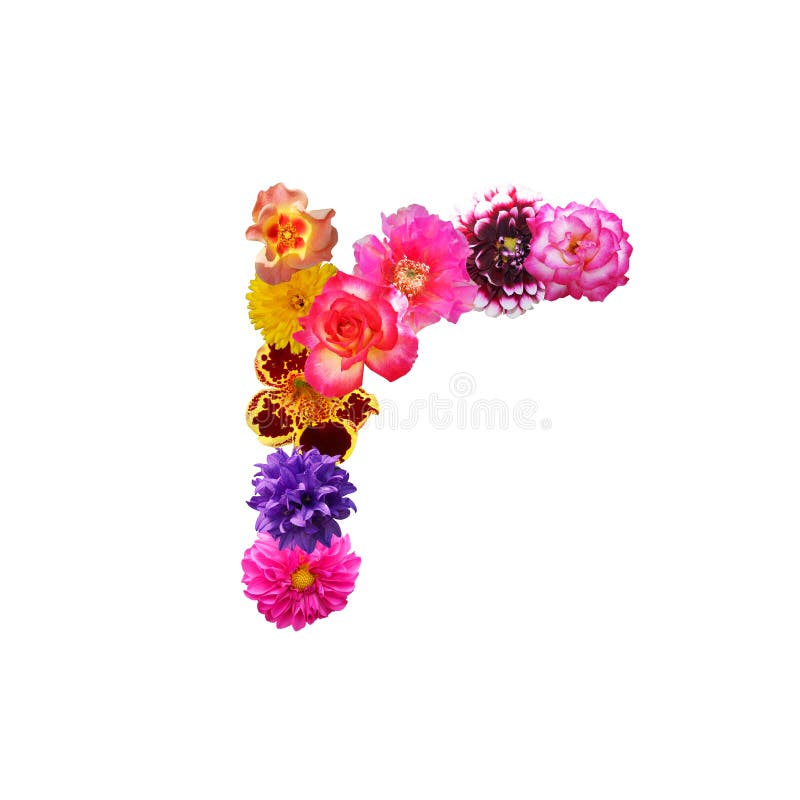 Flowers Letter R stock image. Image of baby, banner, garden - 85440935