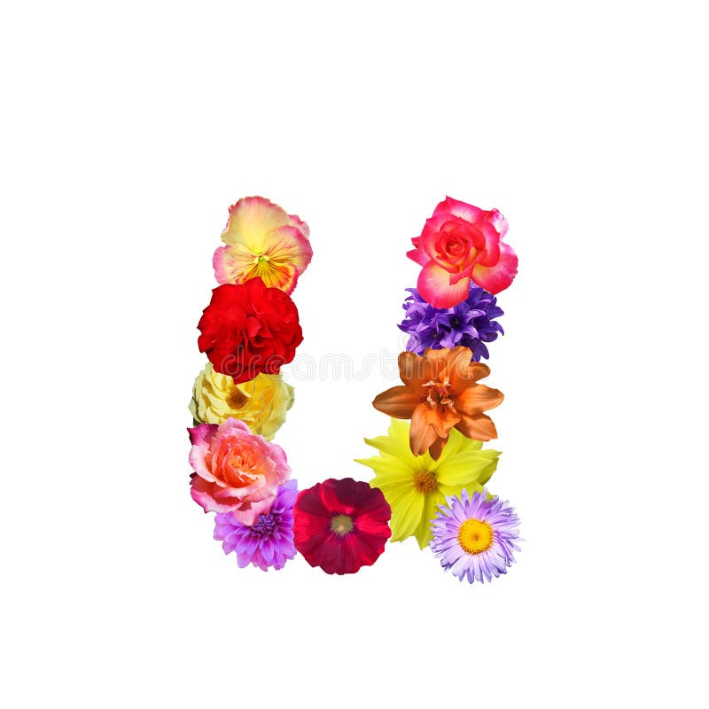 Floral Letter U. Romantic Lettering Design With Flowers. Stock ...