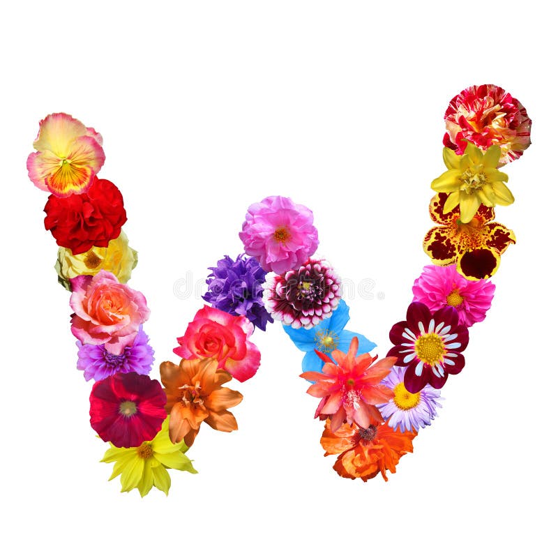 Flowers Letter W stock illustration. Illustration of natural - 85440854