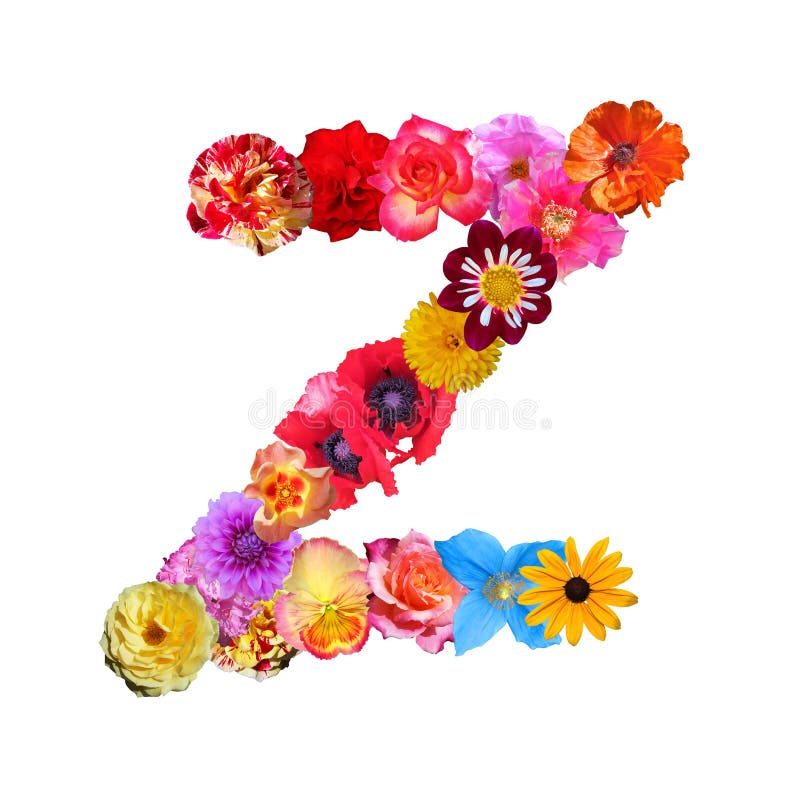 Flowers Letter Z stock illustration. Illustration of leaf - 85440947