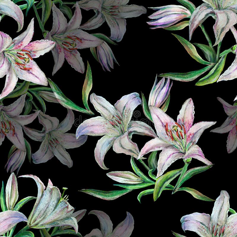 Flowers Lily with Leaves for Printed and Design. Stock Illustration ...